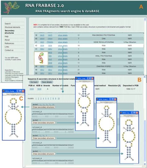 Accession To The Database Of RNA Secondary Structures Given In Download Scientific Diagram