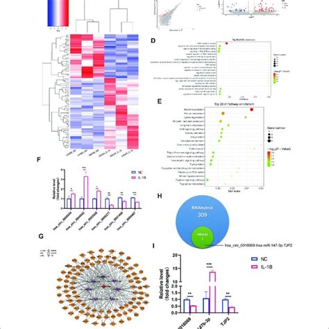 Differential Expression Profile Of Circular Rna Circrna And