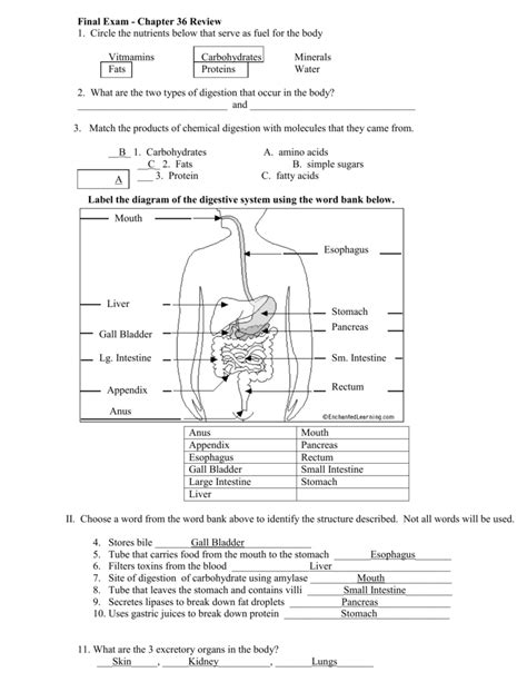 Label The Digestive System 1