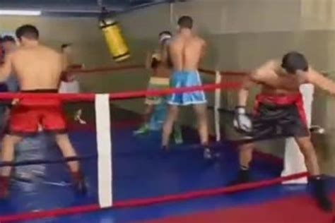 Boxing Gay Porn Videos At Babe Tube Boxing Gay Porn Videos At Babe Tube