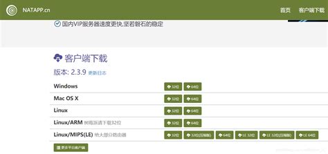 Natapp实现ssh内网穿透netapp 收费吗 Csdn博客