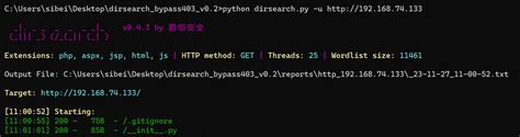 【目录扫描】dirsearch Bypass403 V0 2 极核getshell