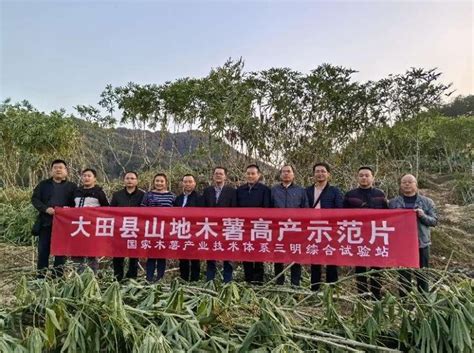 国家木薯产业技术体系首席科学家李开绵一行赴三明站助力山地木薯特色发展 新闻动态 国家木薯产业技术体系信息平台