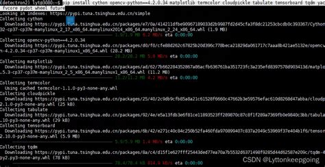 Detectron2环境配置加测试（linux）linux安装detectron2 Csdn博客