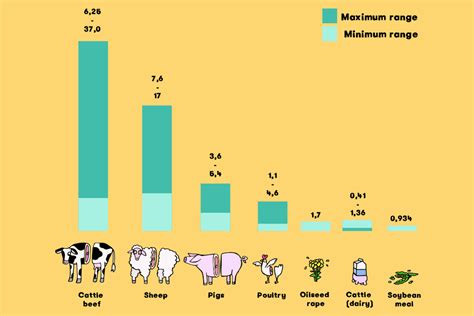 Plant Protein Vs Whey Protein Jimmy Joy