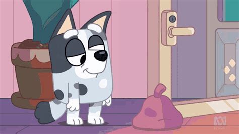 Bluey Muffin  Bluey Muffin The Sleepover Discover And Share S
