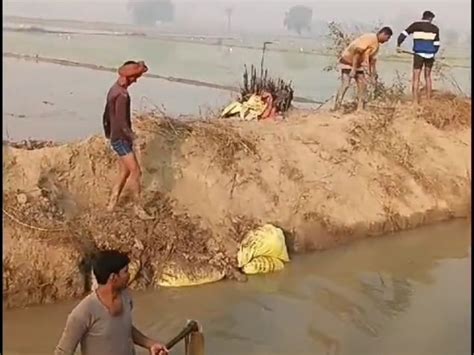 Crop Submerged Due To Cutting Of Canal Track In Hathras हाथरस में
