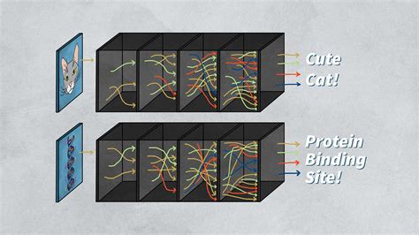 Ai Researchers Ask Whats Going On Inside The Black Box Cold Spring