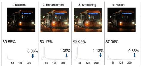 bio inspired dark adaptive nighttime object detection