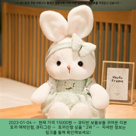 2023 01 04 · 15000원 · 큐티빈 보들보들 귀여운 리본 토끼 애착인형 큐티그린 2024 토끼 리본