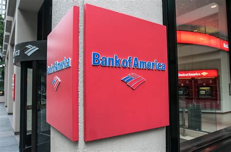 The Best Bank Of America Credit Cards For Rewards 2025