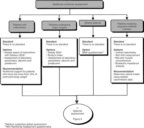 Additional Nutritional Assessment Download Scientific Diagram