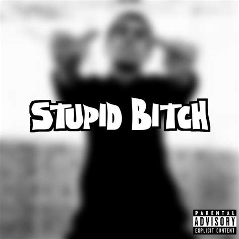 Alandv Stupid Bitch Lyrics Genius Lyrics