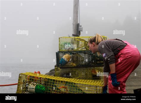 A Lobster Fisherwoman Hauling Traps Stock Photo Alamy