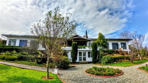 Tree Of Life Resort Spa Resort In Jaipur Tree Of Life