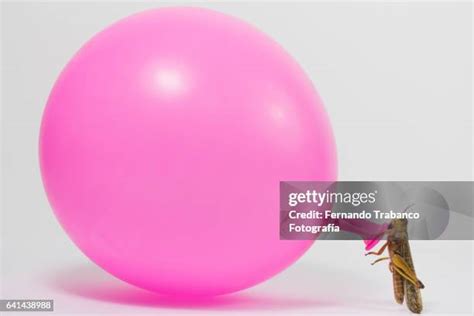 Bubble Gum Card Foto E Immagini Stock Getty Images