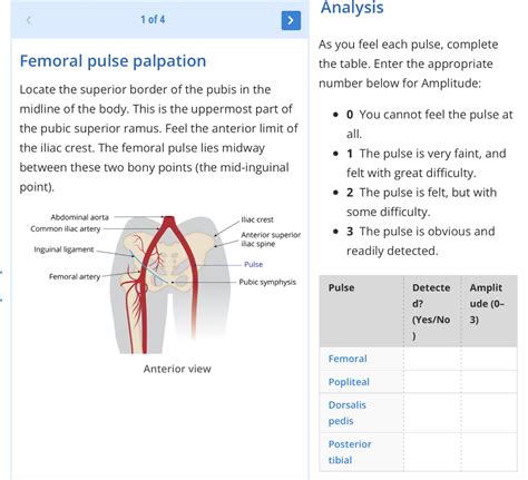 Solved Begin Tabular Ll Femoral Pulse Palpation And As You