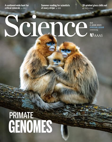 The Landscape Of Tolerated Genetic Variation In Humans And Primates Science