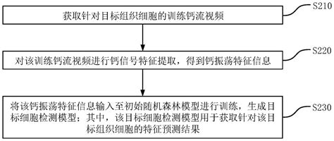 细胞检测模型的训练方法、装置、系统和电子装置与流程