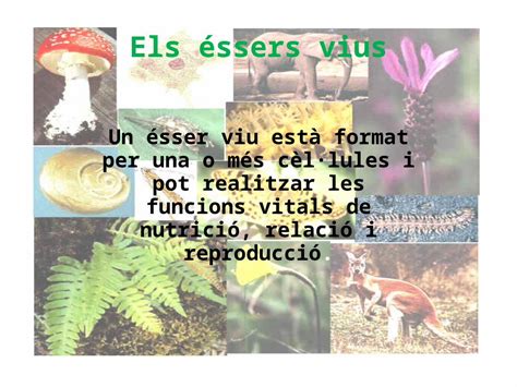 Pptx Els éssers Vius Sadapten I Evolucionen Dokumen Tips