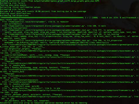 Running Build Then Test Then Viz · Issue 120 · Ratschlabspladder · Github
