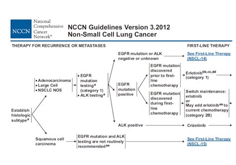 Nccn Nonsmall Cell Lung Cancer Guidelines Update Slides