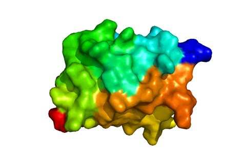 PyMOL Wiki