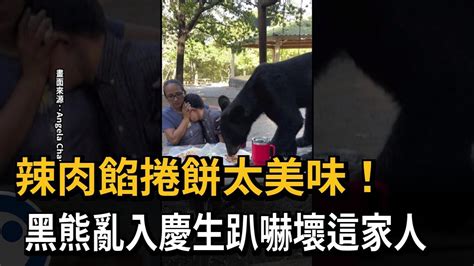 辣肉餡捲餅太美味！ 黑熊亂入慶生趴嚇壞這家人－民視新聞 Youtube