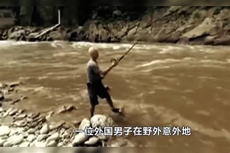 老外野外捡回乌龟结果乌龟脖子越来越长解开疑惑长见识了