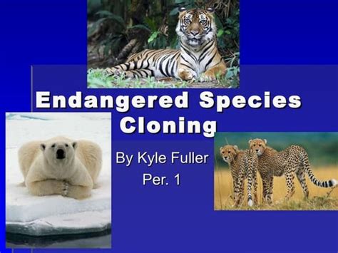 Cloning Extinct Species Pptx Biological Sciences Science