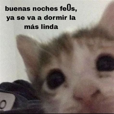 Pin De Triciah En Memes Frases En 2023 Memes De Dormir Me Voy A