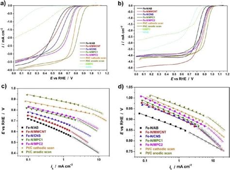 Steady State Polarization Curves 10 Mv Potential Step 10 S Holding Download Scientific