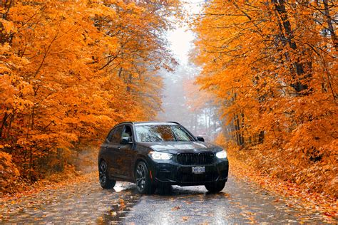 Download Black Bmw M In Vibrant Autumn Scenery Wallpaper