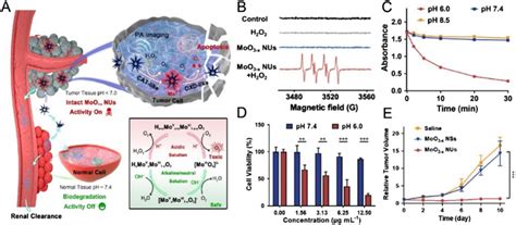 Nanozymes Recent Development And Biomedical Applications Pmc