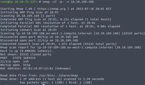 tryhackme writeup red kangafoo