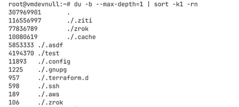 Tutorial Mudah Cek Disk Space VPS DomaiNesia