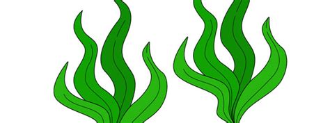 Seaweed Cut Out Medium