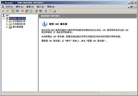 Windows服务器配置dns服务器配置dhcp服务器配置ftp服务器配置wlan的dhcp对应的dns服务器想自定义更改 Csdn博客