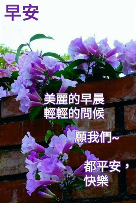 早安 美麗的早晨 輕輕的問候 願我們 都平安快樂