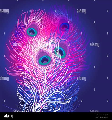 Purple Peacock Feather Drawing