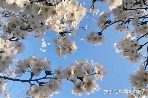国际贸易合同常见条款之价格条款 知乎