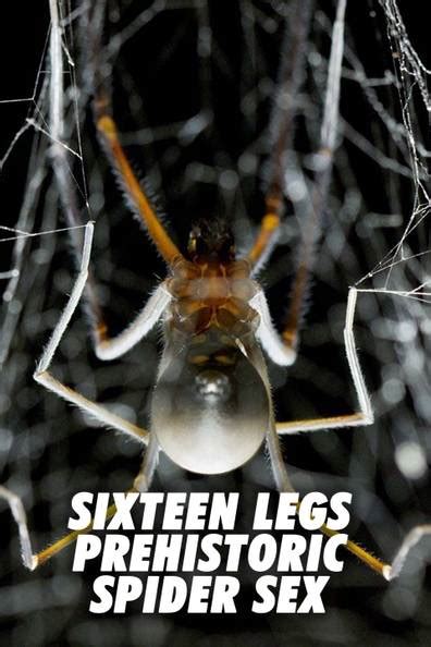 How To Watch And Stream Sixteen Legs Prehistoric Spider Sex 2023