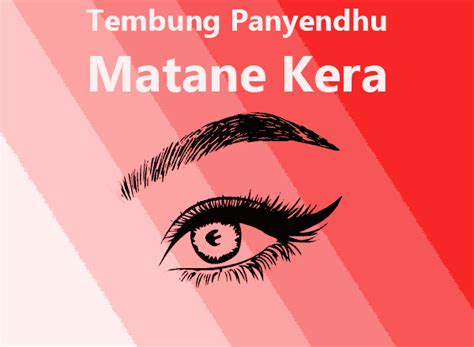 Tembung Panyendhu Matane Kera Tegese Lan Tuladha Ukara