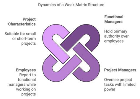 What Is A Matrix Organization Key Benefits And How It Works