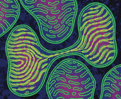 Why Mitochondria Are Extra Like A Motherboard Than The Powerhouse Of The Cell Yacak