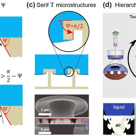 Pdf Functional Surface Microstructures Inspired By Nature From Adhesion And Wetting