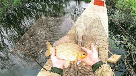 Рыбалка на мордушки катиски и кубарь в полноводье. Эти снасти ловят ...