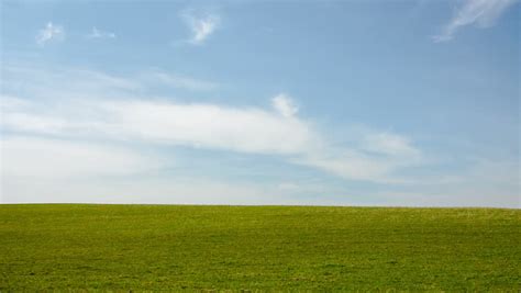 Meadow With Green Grass And Blue Sky With Clouds Stock Footage Video