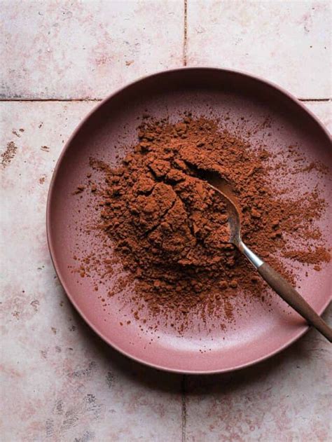 What Is Cocoa Powder One Sarcastic Baker
