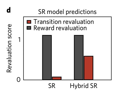 Cognitive Maps And Successor Representations